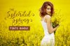 Splendid Spring Fonts Bundle - 100 Font Families with 200+ Unique Fonts