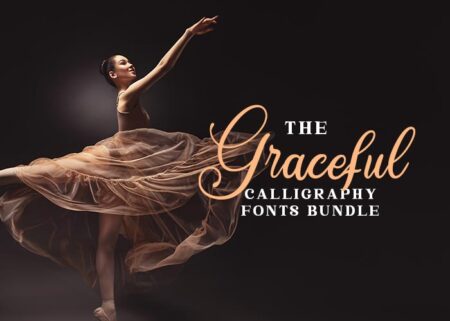 The Graceful Calligraphy Fonts Bundle | Extended Use License